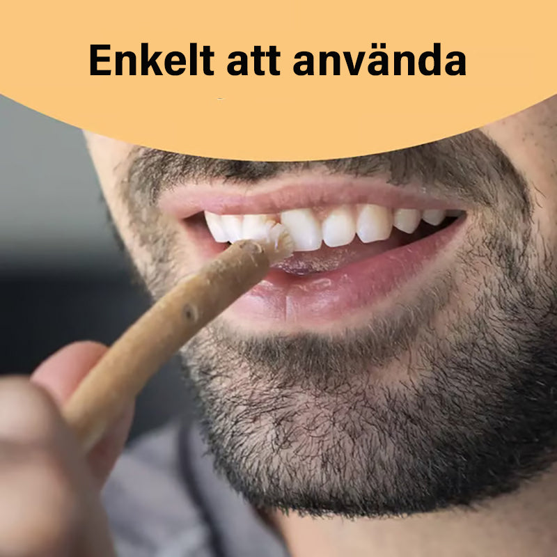 Naturliga Miswak-pinnar – individuellt förpackade, traditionell tandbo