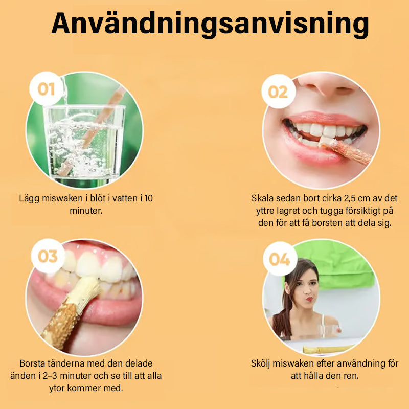 Naturliga Miswak-pinnar – individuellt förpackade, traditionell tandbo